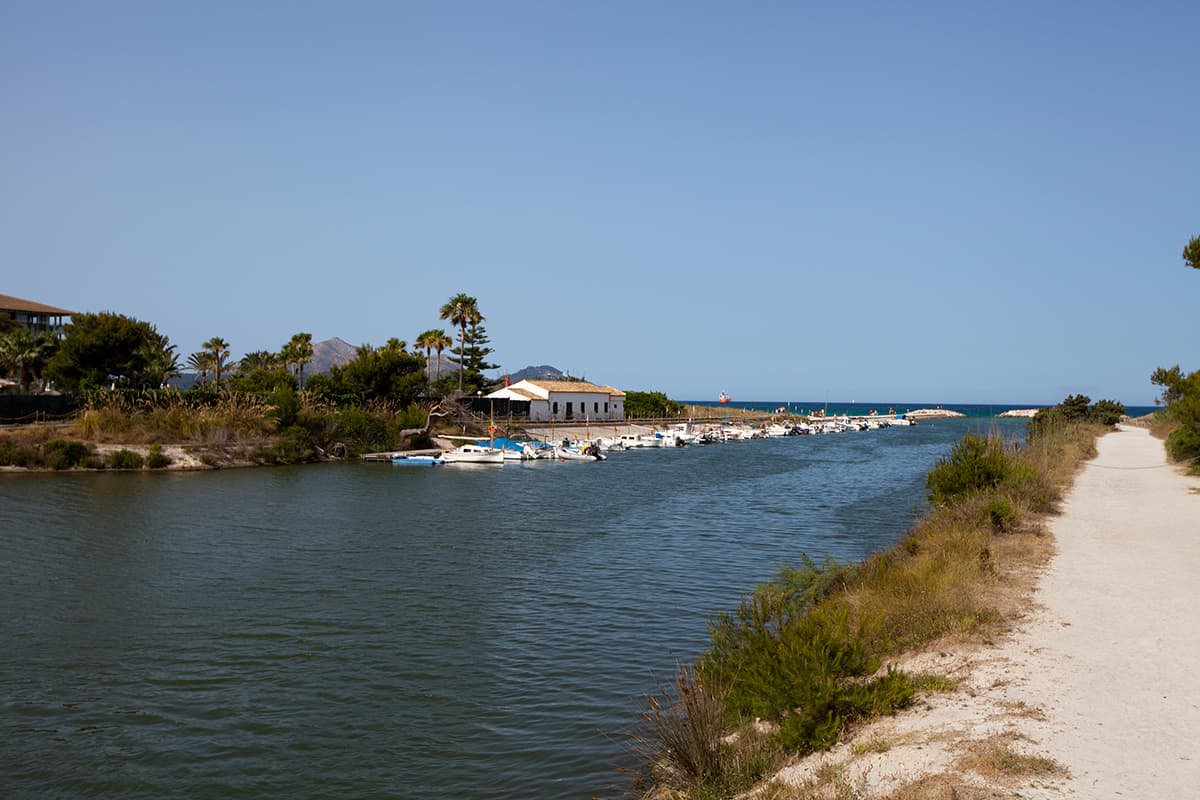 JS Alcudi Mar 4* | Hotel Playa de Muro, Mallorca - Official website